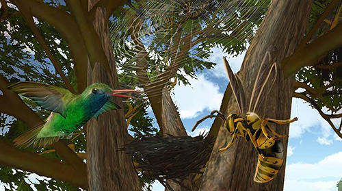 Hummingbird Simulator 3d Download Apk For Android Free